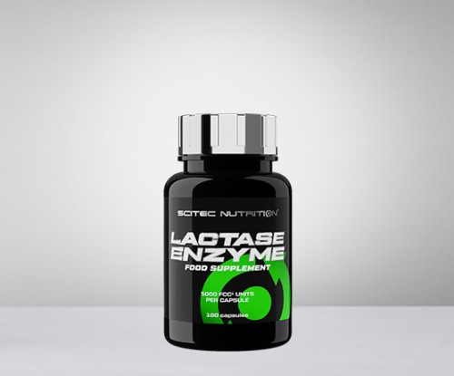 Lactase Enzyme