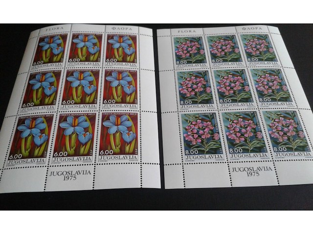 Flora tabačići iz 1975. god.