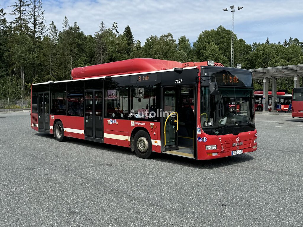 MAN A21 CNG (14 BUSES) gradski autobus