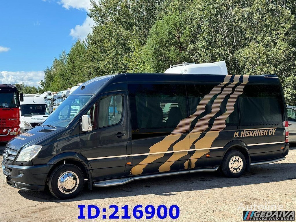 Mercedes-Benz Sprinter 519 - Kasten VIP - 17 Seater putnički minibus