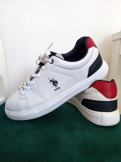 Us Polo Assn patike