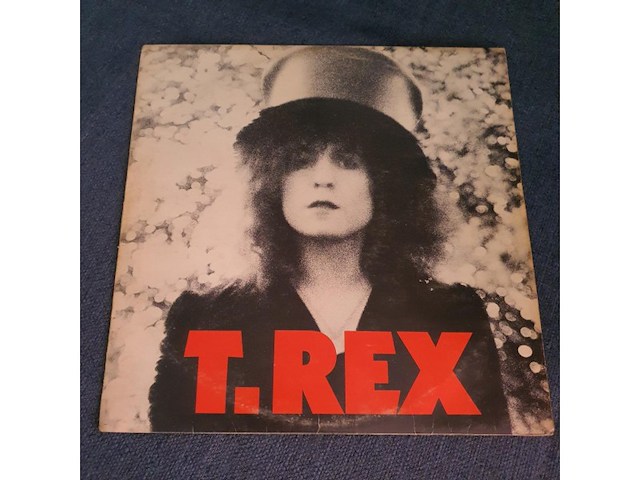 T. Rex – The Slider