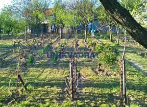 Prodaja Vikendica - Inđija, Novi Slankamen