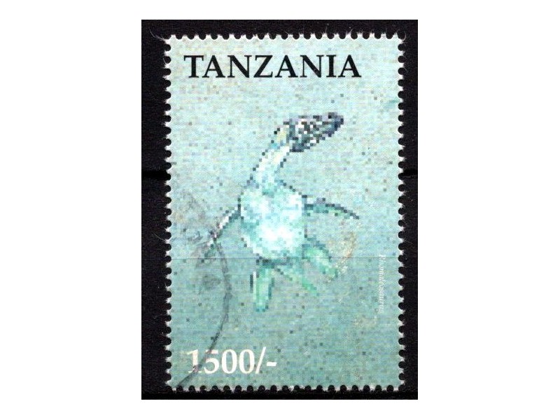 Tanzania 1999.