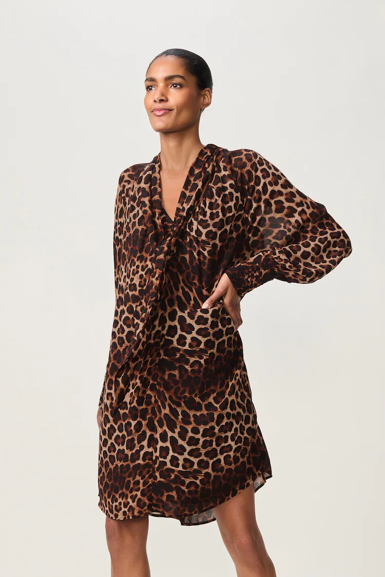 Brown Leopard Print Long Sleeve Tie Neck Mini Dress