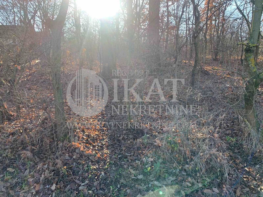 Titel, kuća, 151m2 ID#3609