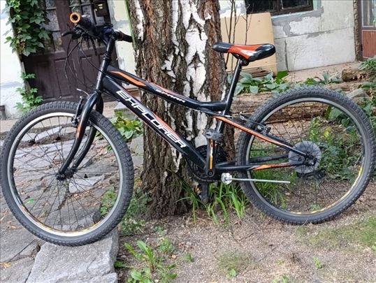 Bicycle and its carrier for sale