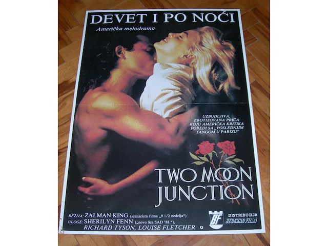 Devet i po noći (Sherilyn Fenn) - filmski plakat