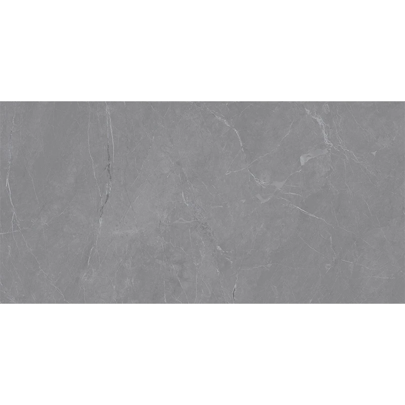 Amarone Grey 60x120