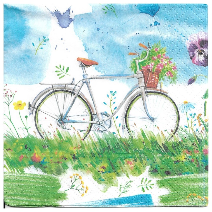 Salvete za dekupaž Watercolour Bicycle - 1 kom