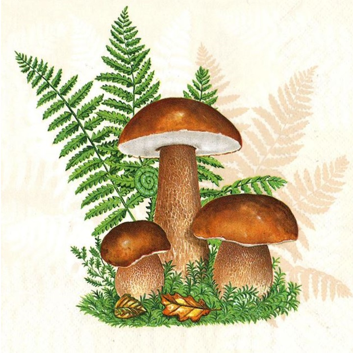 Salveta za dekupaž Boletus with Leaves of Fern - 1 kom