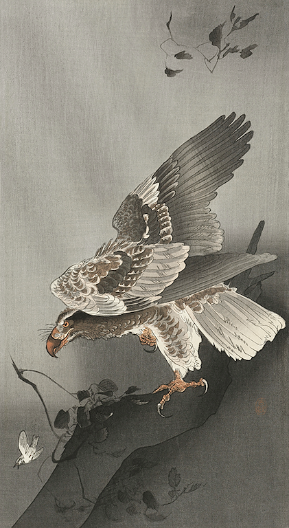 Eagle lurking at a prey (1877-1930)