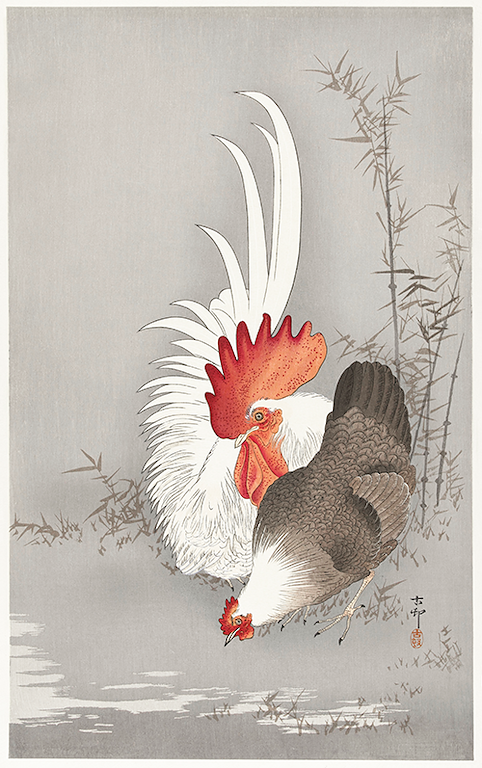 Rooster and chicken (1900 - 1930)