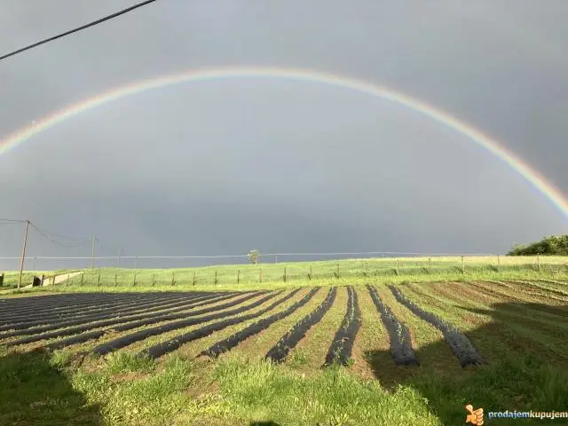 Šumadijsko domaćinstvo