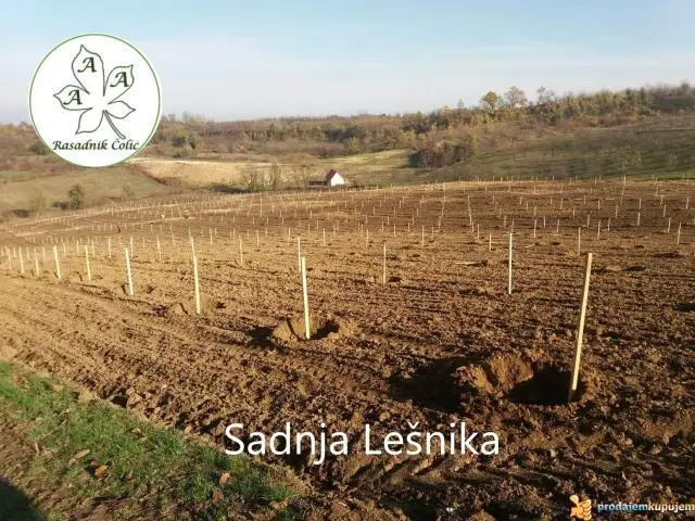 Kako podići kvalitetan Voćnjak i Vinograd ?