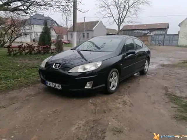 PEUGEOT 407 - 2004. god