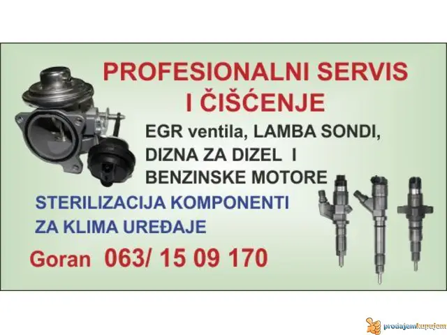 Servis I remont svih vrsta dizni