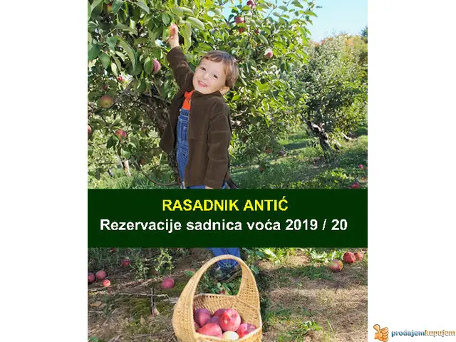 Rezervacija Sadnica Voća Jesen 2019 - Rasadnik Antić