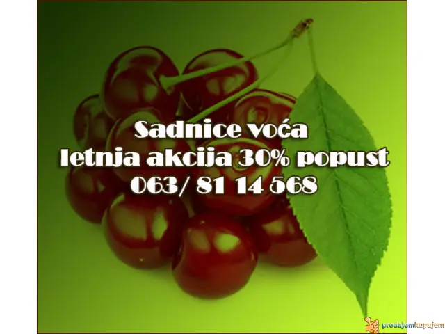 30% Popust - Voćne sadnice LETNJA AKCIJA