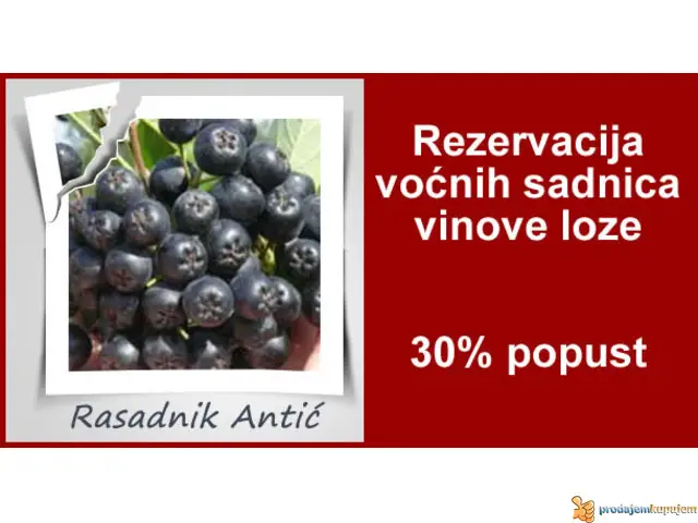 Sadnice voća... Super cena 30% popust