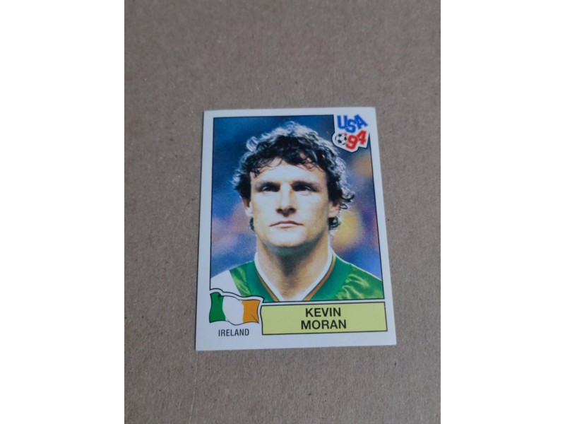 Panini FIFA 1994 USA živa sličica br 323