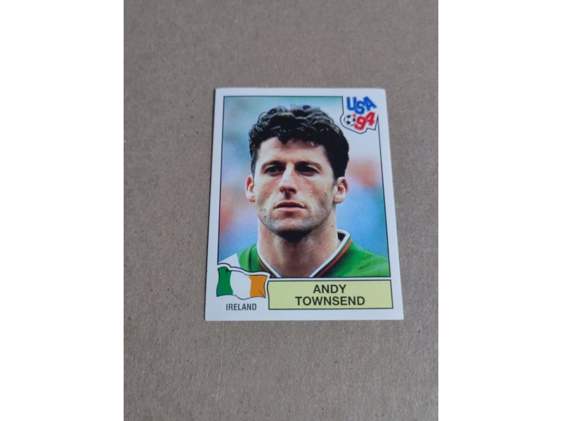 Panini FIFA 1994 USA živa sličica br 331