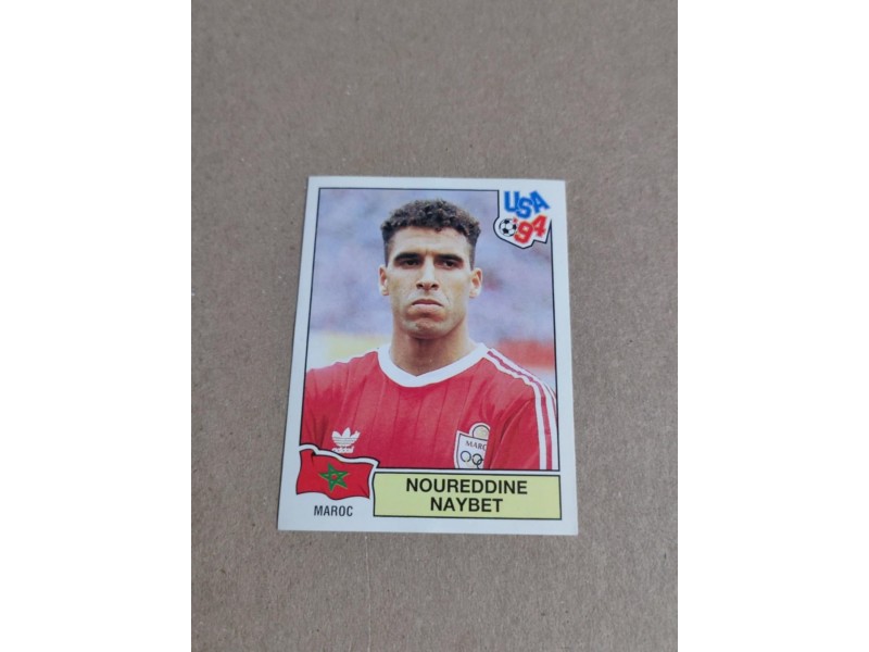 Panini FIFA 1994 USA živa sličica br 399
