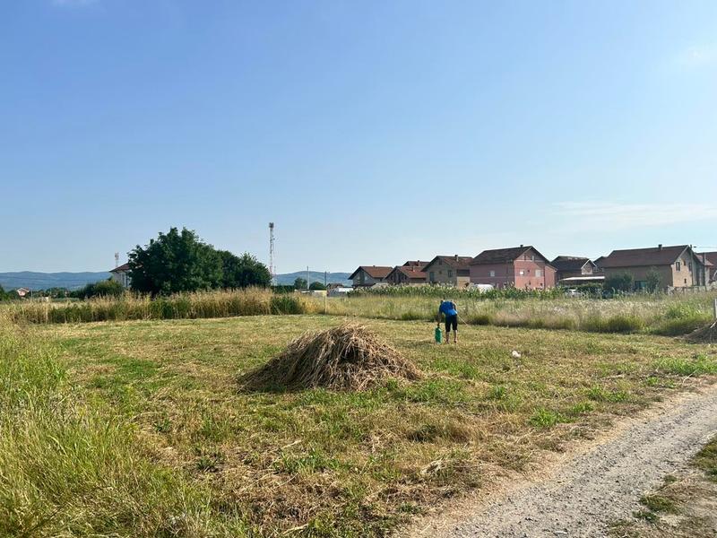 Izlaz iz Futoga (železnicka stanica), Futog