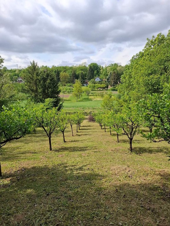 Fruska Gora gradjevinski plac