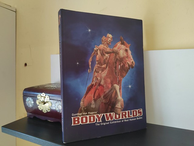 Body Worlds The Original Exhibition of Real Human Bodie