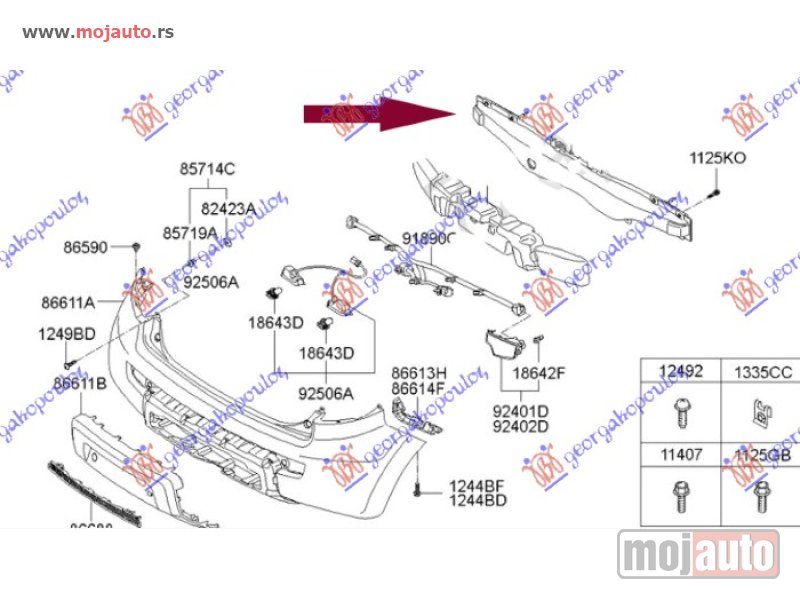 Sina zadnjeg branika
