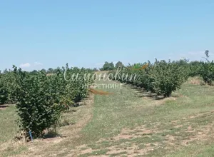 Prodaja Građevinsko zemljište - Ub, Centar