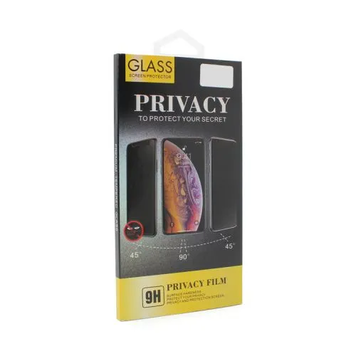 Zastitno staklo Zaštino staklo (glass) Privacy 2.5D Full glue za iPhone X crni