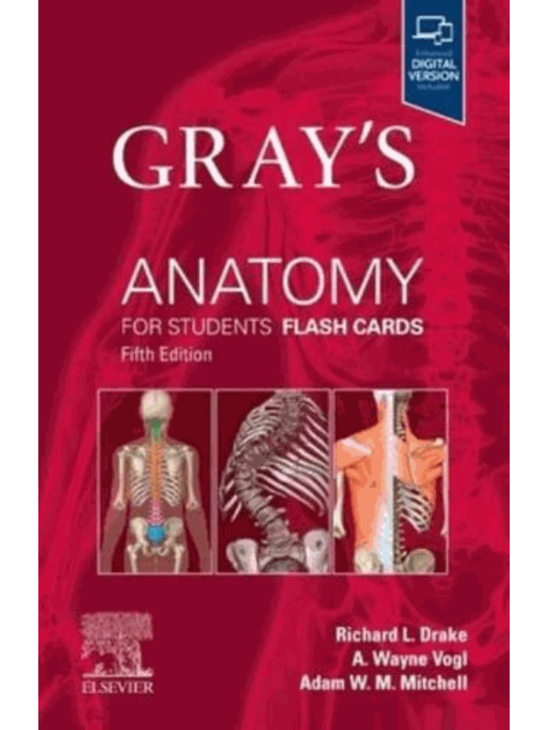 Gray’s Anatomy for Students Flash Cards, 5th Edition