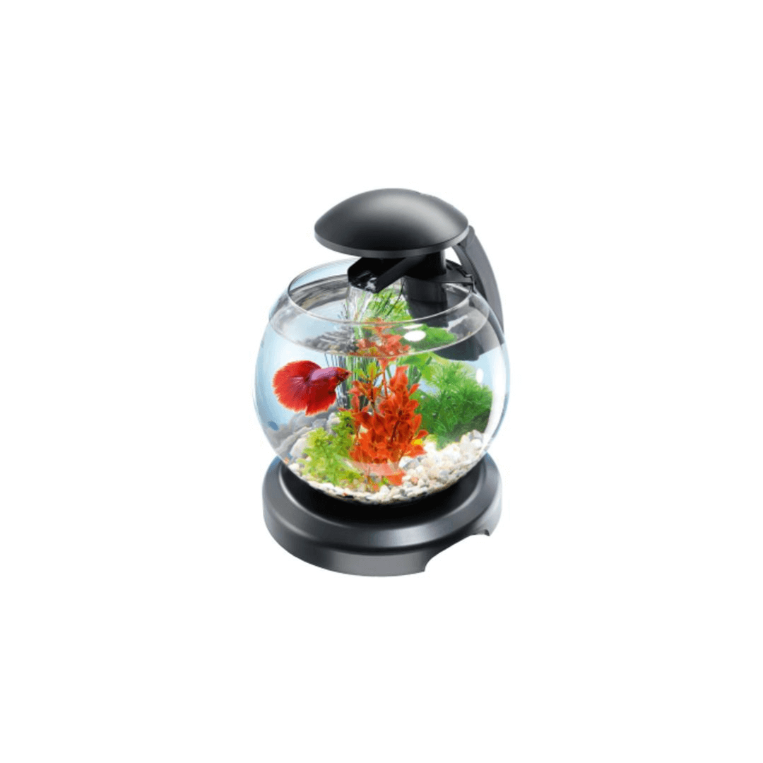 Tetra Akvarijum Globe Black 6 ,8l