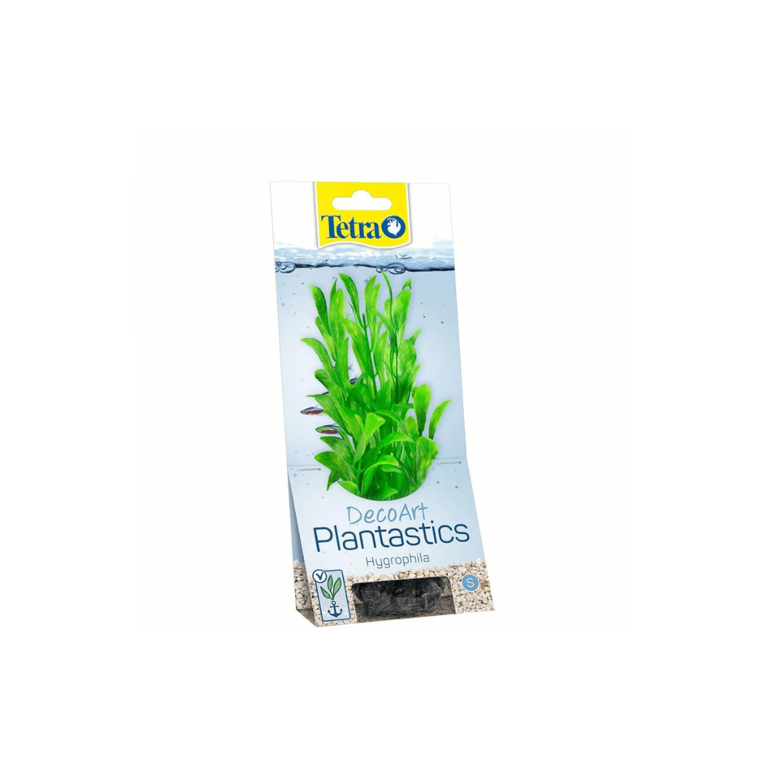 Tetra Plants 15cm Hygrophila S