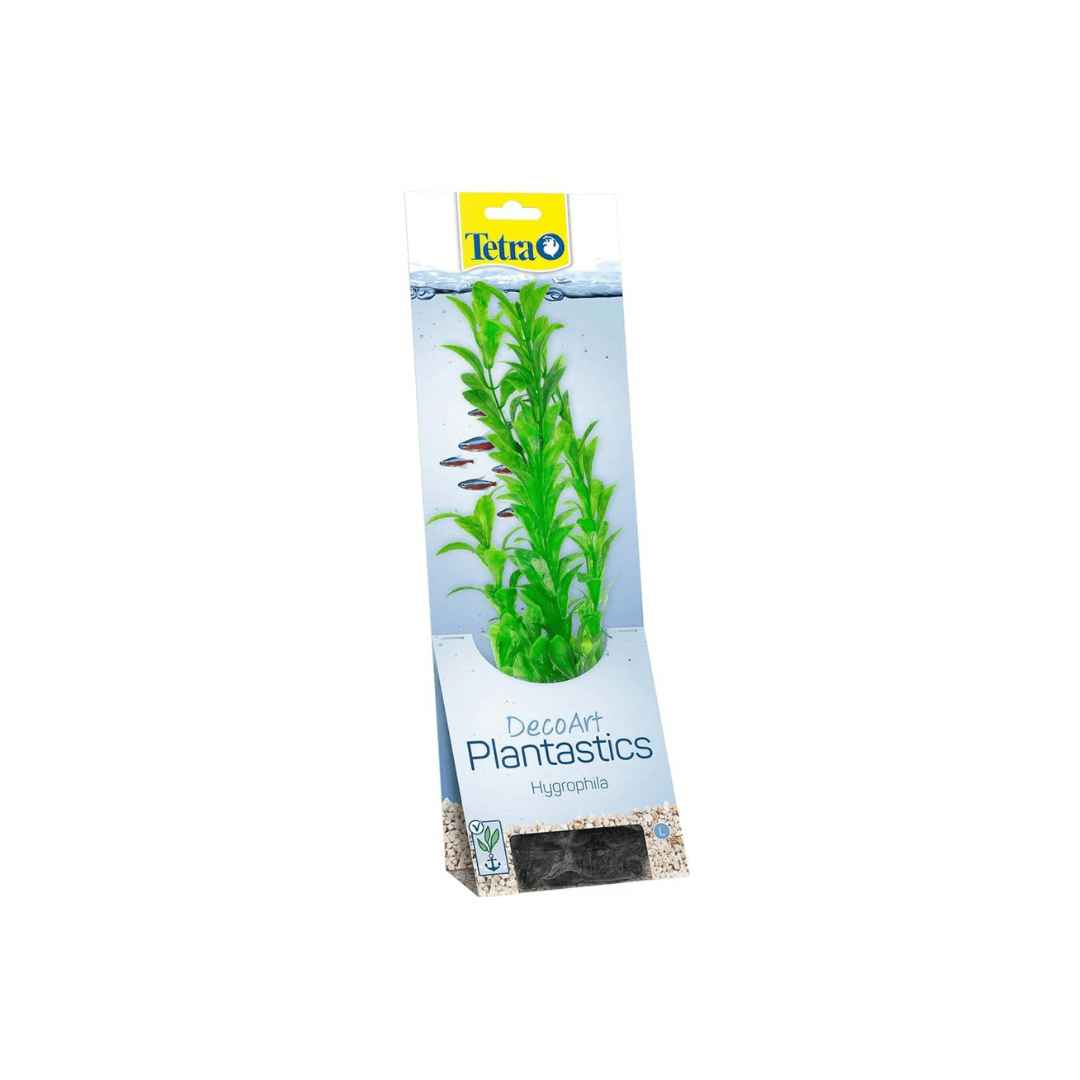 Tetra Plants 30cm, Hygrophila L