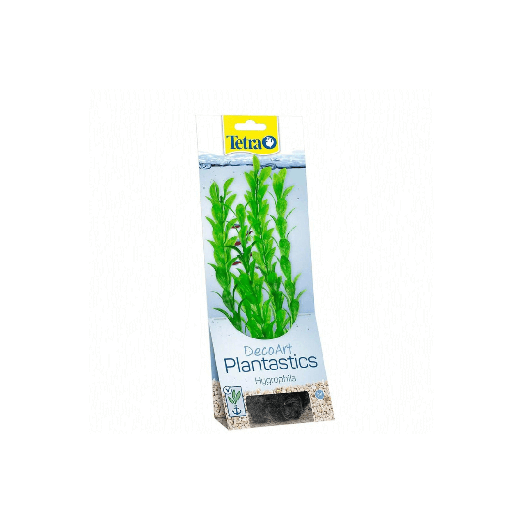 Tetra Plants 30cm,Hygrophila medium