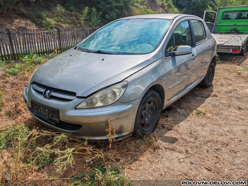 Peugeot 307 1.6 Kompletan Auto U Delovima