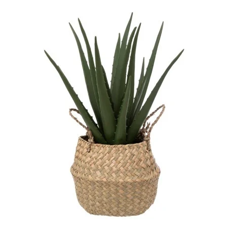 Atmosphera dekorativna biljka aloe natural h37 cm ( 189119 )