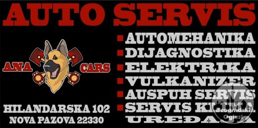 AUTO SERVIS ZA PUTNICKA I LAKA TERETNA VOZILA DO 3.5T