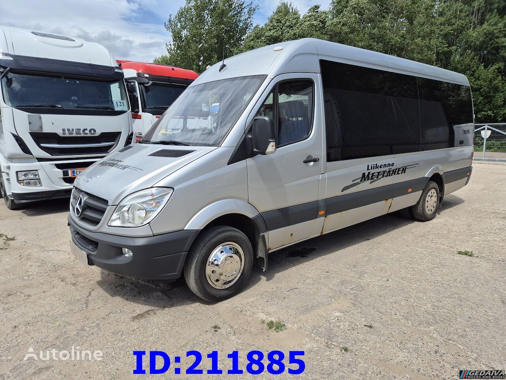 Mercedes-Benz Sprinter 516 VIP 20-seater turistički autobus