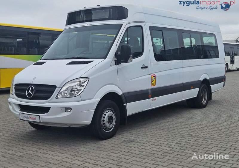 Mercedes-Benz SPRINTER / SPROWADZONY / TELMA / KLIMA putnički minibus