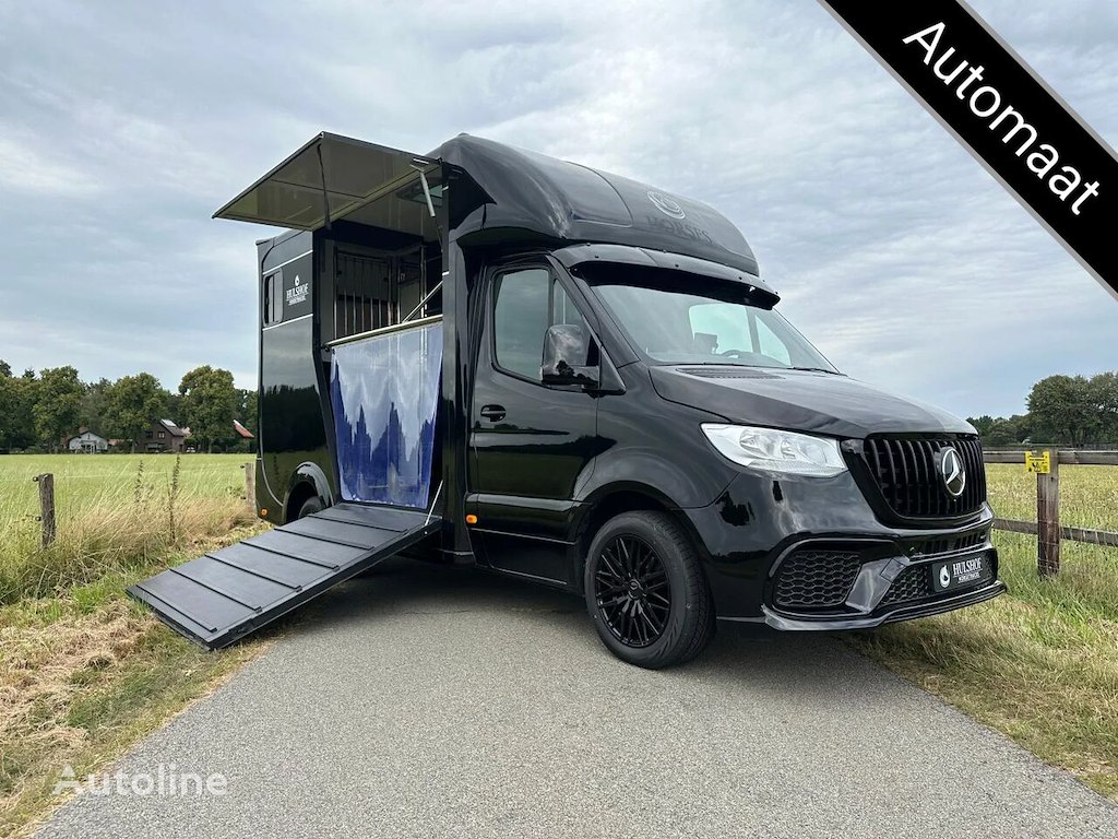 Mercedes-Benz Sprinter 315 AMG 2-paards paardenvrachtwagen B-rijbewijs vozilo za prevoz konja