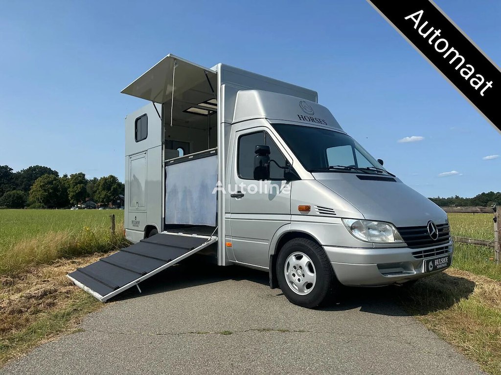 Mercedes-Benz Sprinter 2-paards paardenvrachtwagen Automaat B-rijbewijs MARGE vozilo za prevoz konja