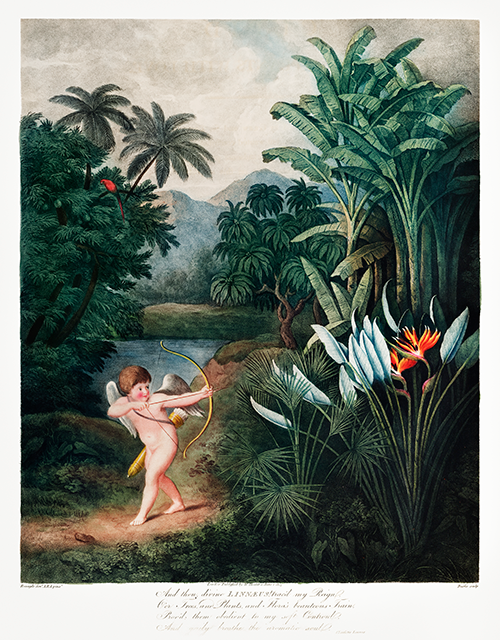 Cupid Inspiring Plants with Love (1807)