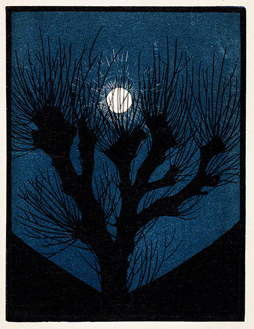 Moon Light (1920)