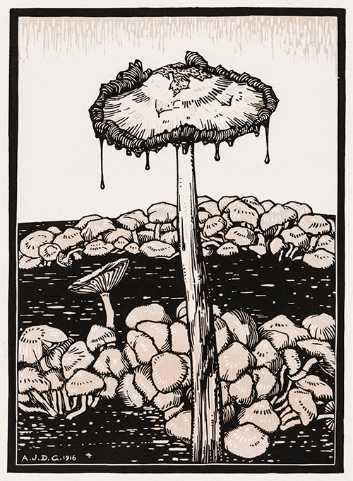 Dripping mushroom (1916)
