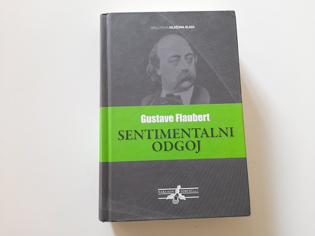 Sentimentalni odgoj - Gustave Flaubert