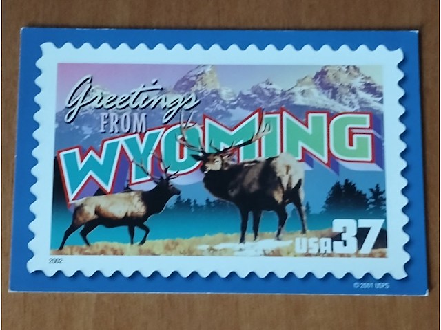 Amerika - USA - Wyoming - Čista